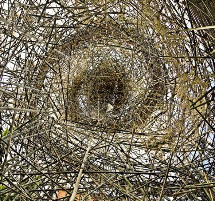 Bamboo Sculpture • Insteading