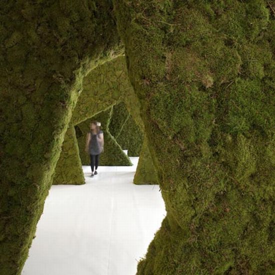 Moss Art • Insteading