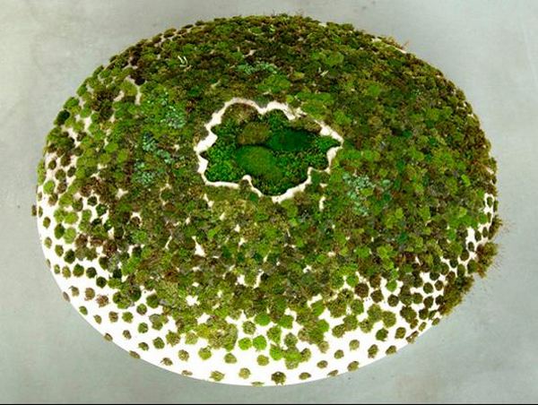 Moss Art • Insteading