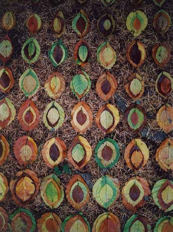 Tim Pugh • Insteading