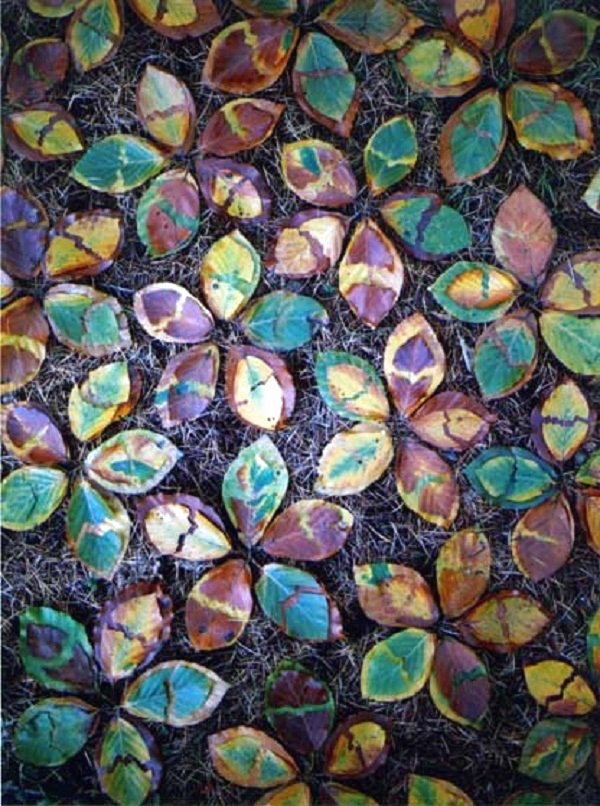 Tim Pugh • Insteading