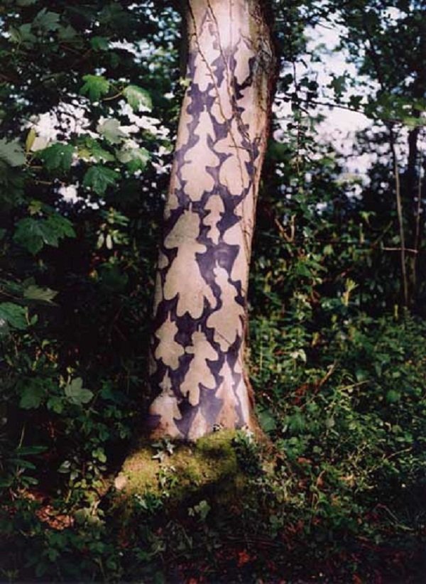 Tim Pugh • Insteading