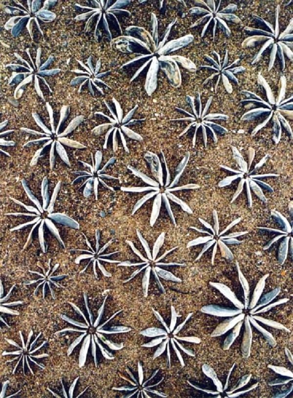 Tim Pugh • Insteading