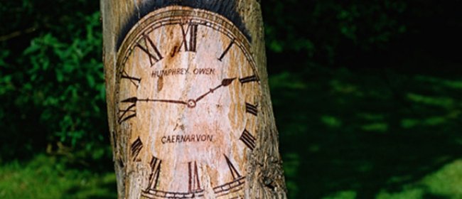 Tim Pugh • Insteading