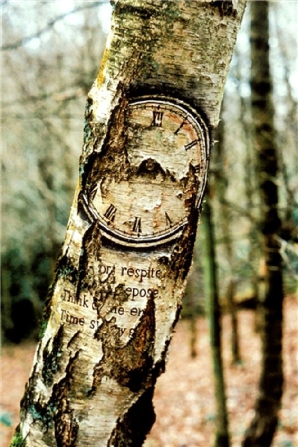 Tim Pugh • Insteading